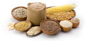 Products – Snack Innovations